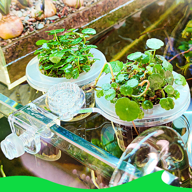 1+1 GRATIS | HydroScope - Wortelbewaking gemakkelijk gemaakt – Maveda